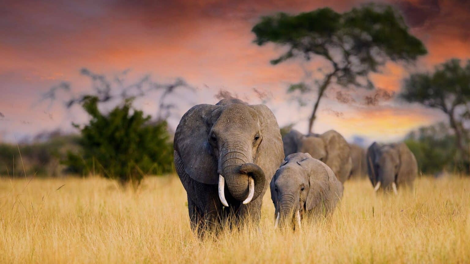 Condé Nast Just Named the Top Places To Travel in 2026